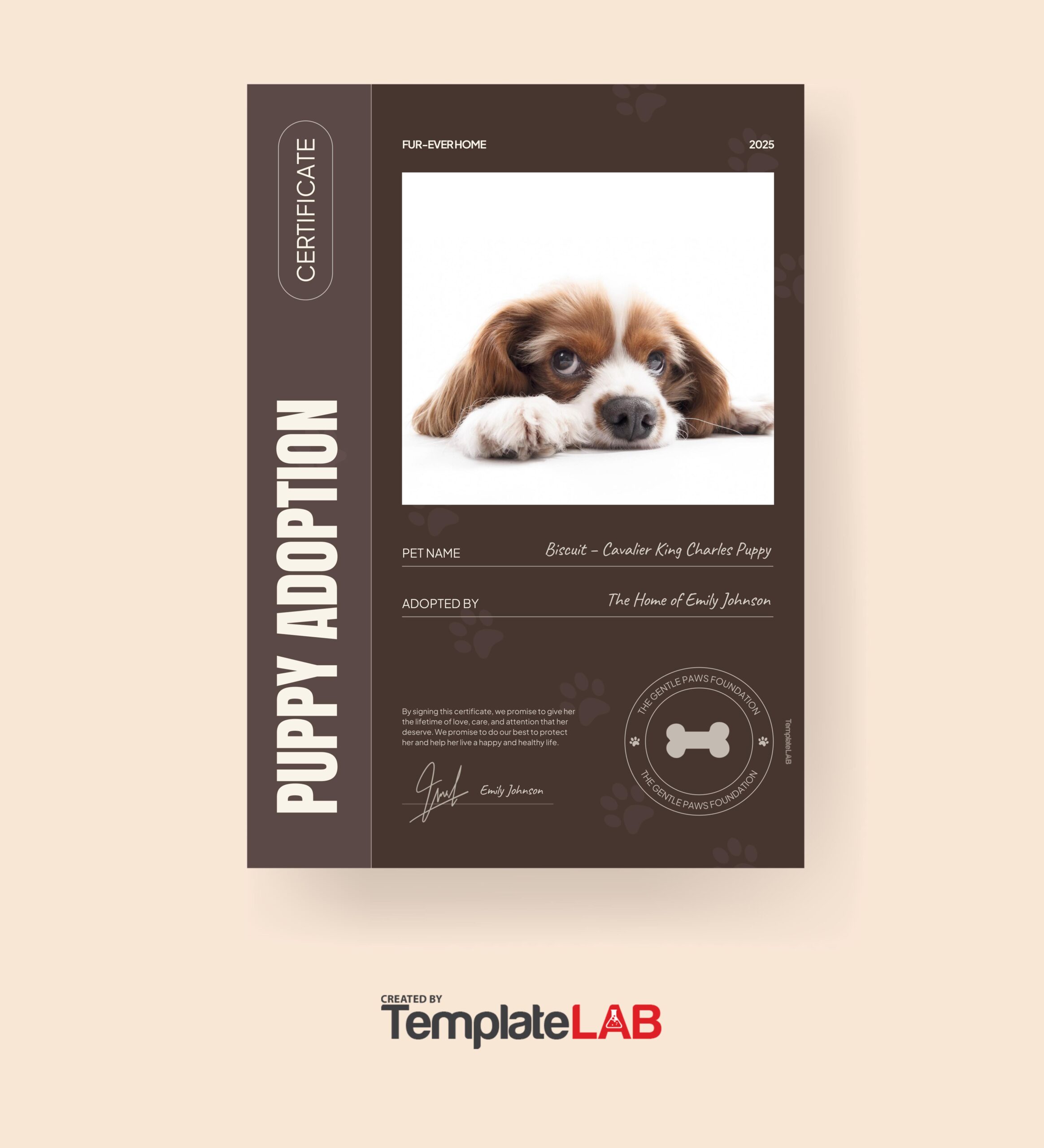 18 Printable Adoption Certificate Templates (FREE) ᐅ TemplateLab