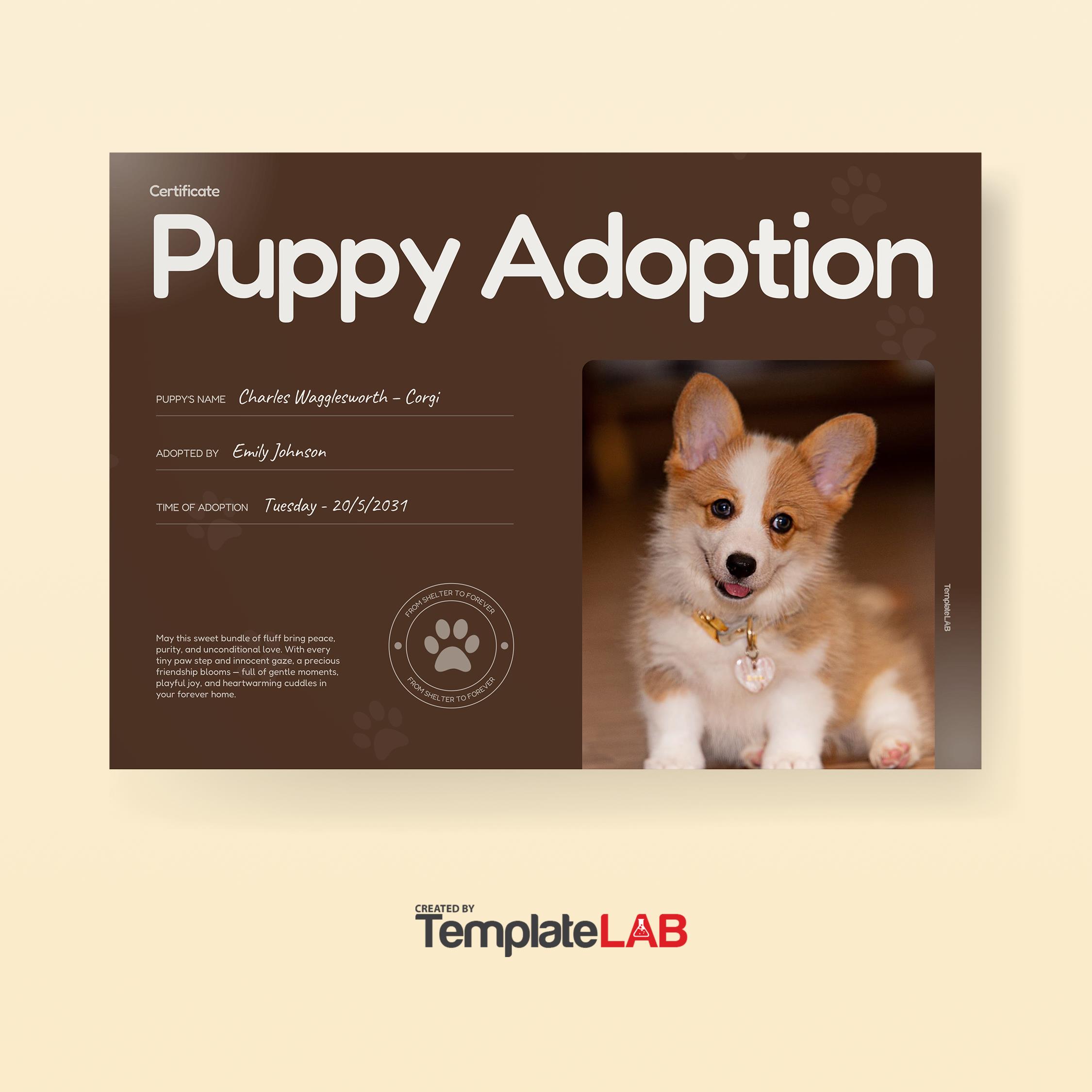 18 Printable Adoption Certificate Templates (FREE) ᐅ TemplateLab