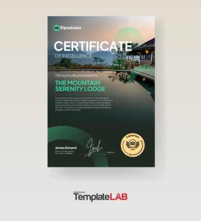 18 Free Certificate of Excellence Templates [& Examples]