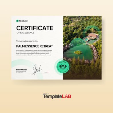 18 Free Certificate of Excellence Templates [& Examples]