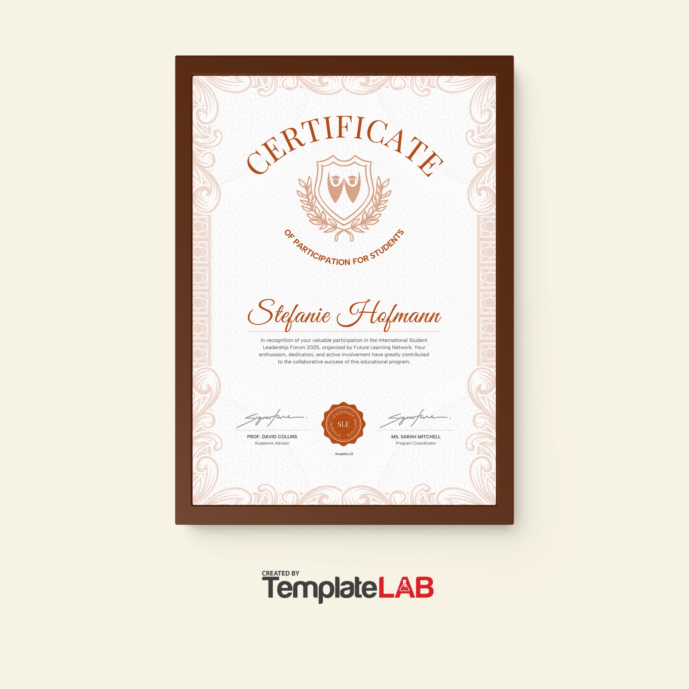 18 Free Certificate of Participation Templates (PDF, Word, PPTX)