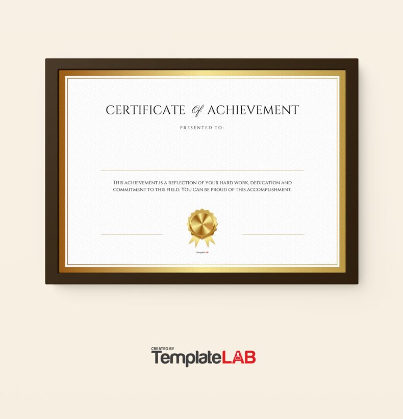 18 Free Certificate of Achievement Templates [Editable] ᐅ TemplateLab